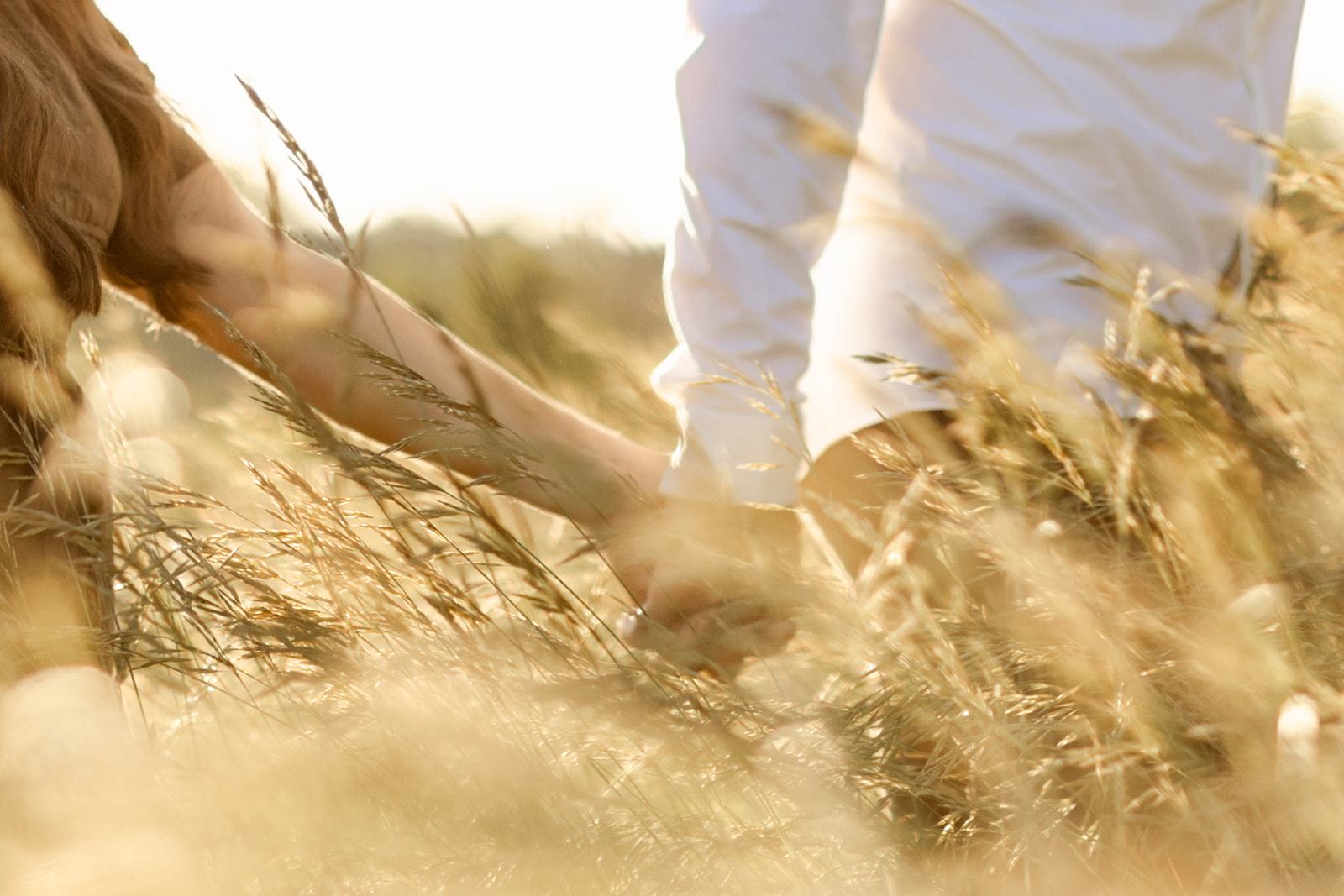 Engagement Session in Trexler Nature Preserve | Leana + Casey ...